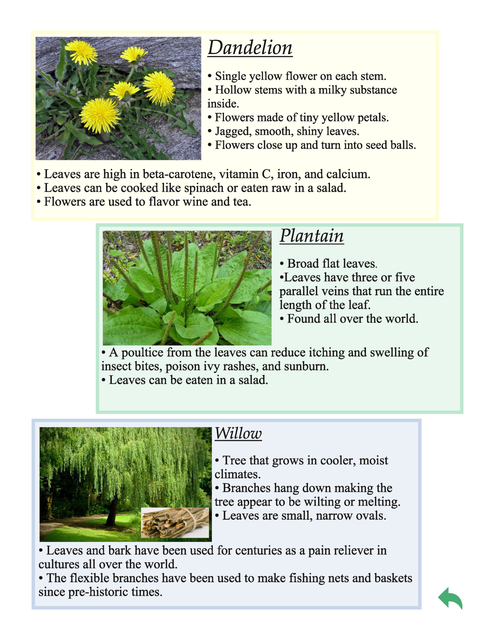 Children of the Longhouse Unit Study – Five Senses Literature Lessons