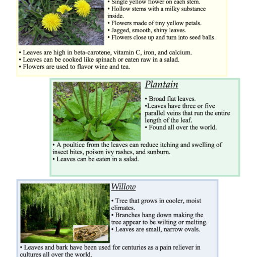 Children of the Longhouse Unit Study – Five Senses Literature Lessons