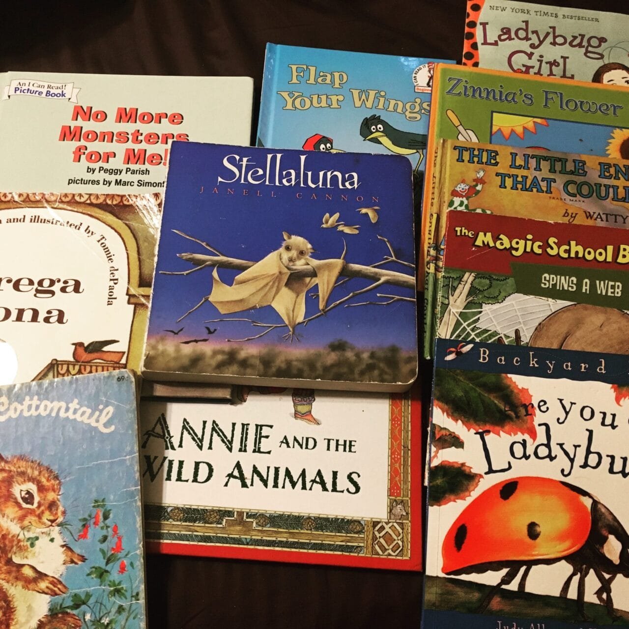 Wonderful World – Five Senses Literature Lessons