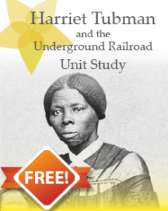 Harriet Tubman and the Underground Railroad – Five Senses Literature ...